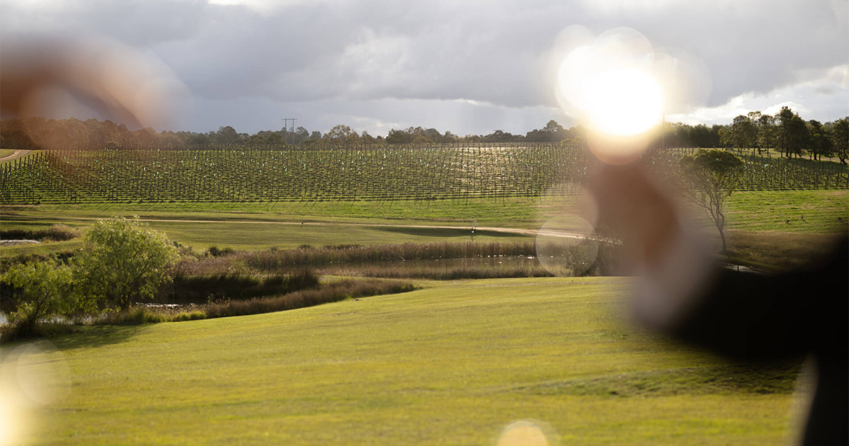 Squire's Vineyard Wine from the Hunter Valley - Squire's Vineyard